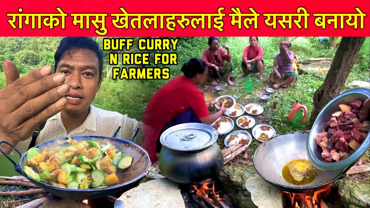 Buff Meat Cooking And Having With Rice By Farmers In The Field ...