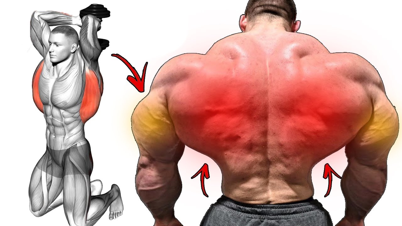 8 Best Exercises To Build A Big back - Lats workout - YouTube