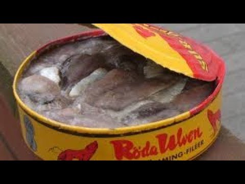 Tried Surströmming for the first time! What does it Taste & SMELL like ...