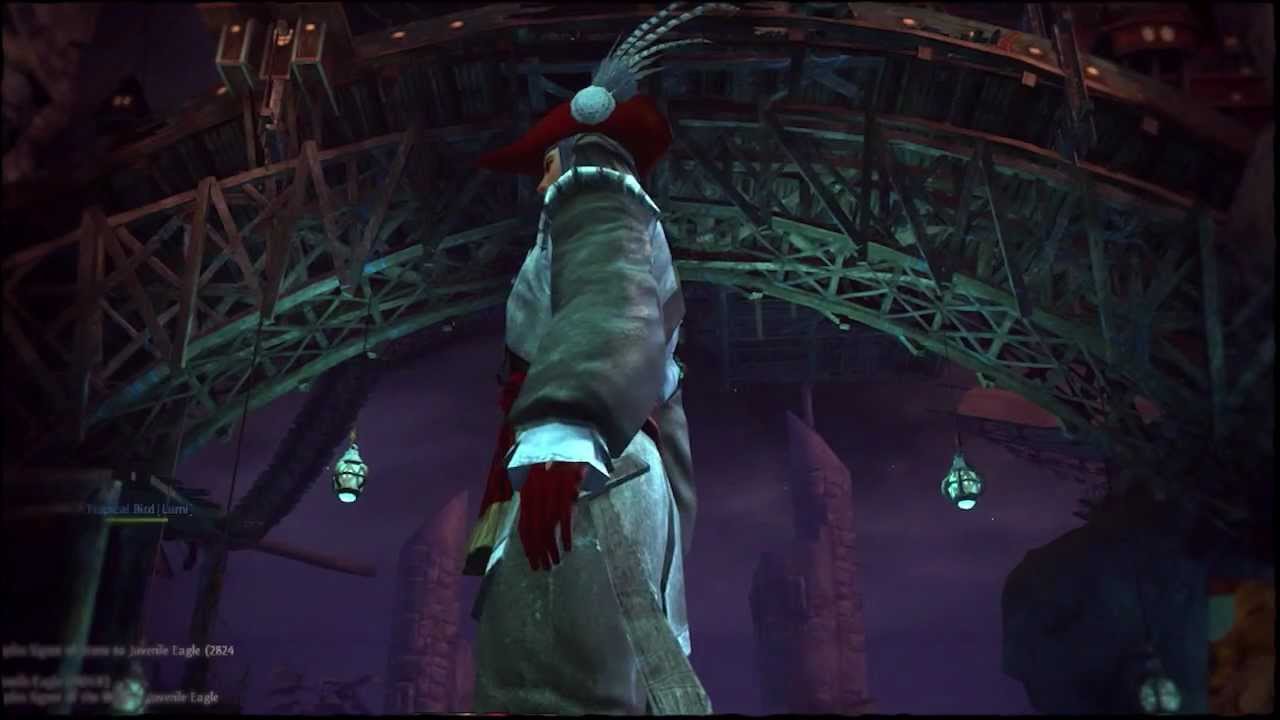 The Pirate: Guild Wars 2 - YouTube