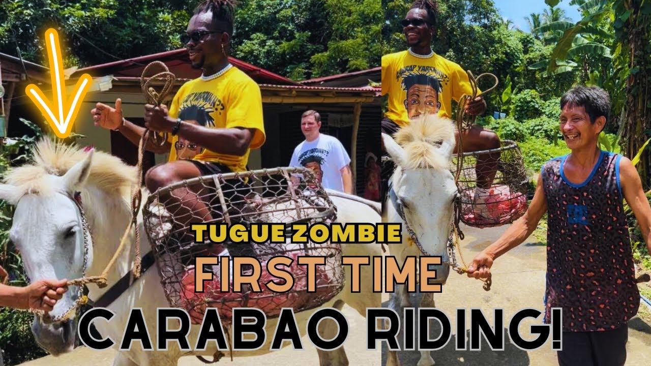 My first time riding a Carabao! 😱😱😱 | Laguna, Philippines | Tugue ...