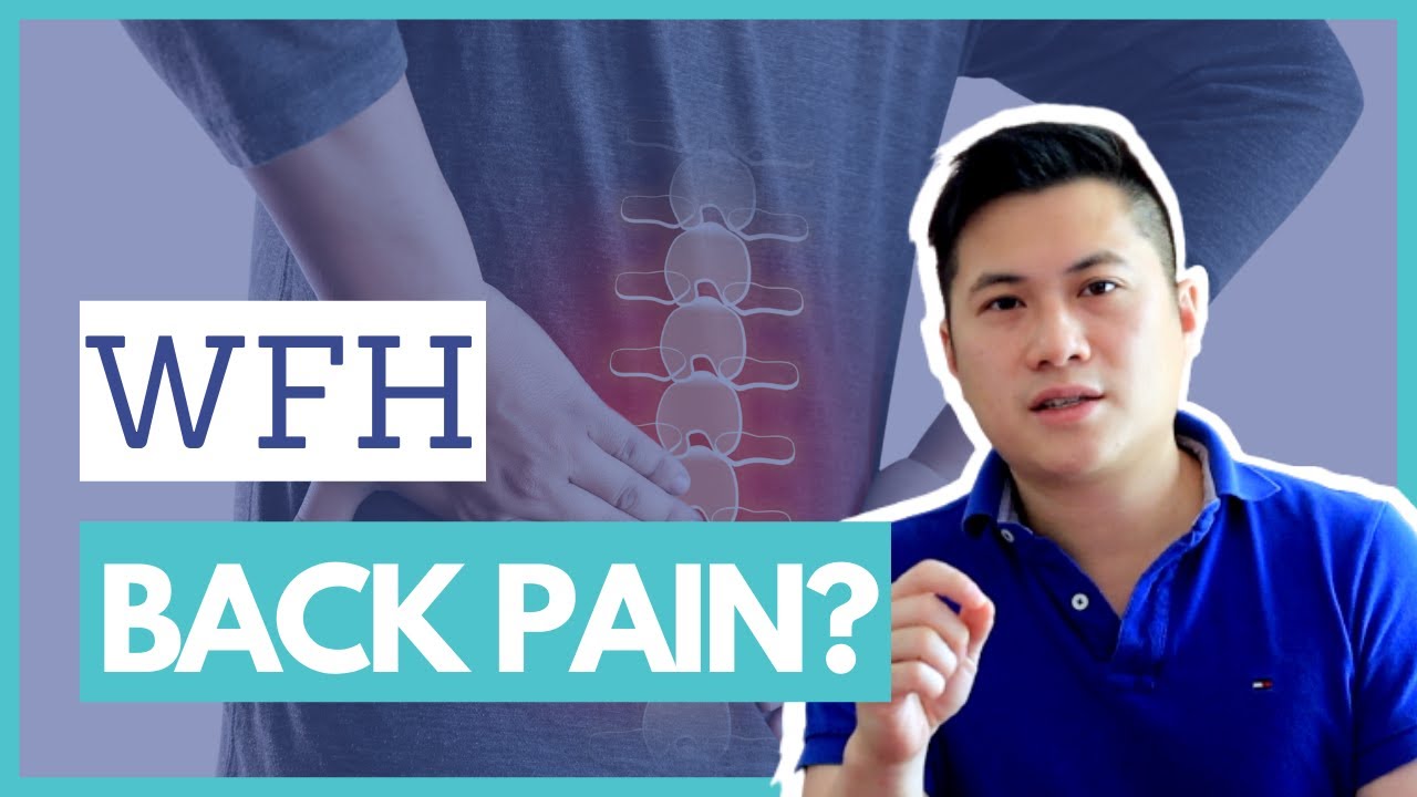 Work Ergonomics | 7 Quick Tips to Stop Back Pain & Work Comfortably ...