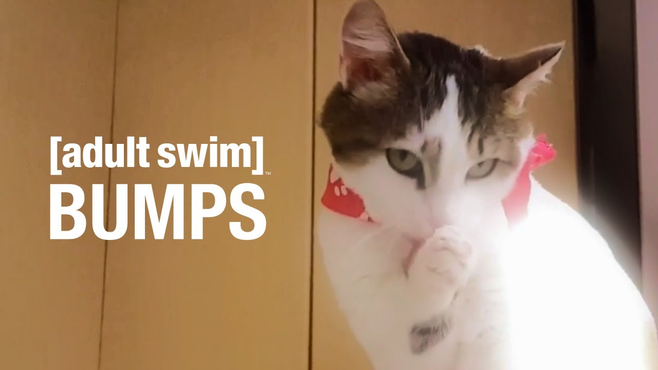 This Week in Bumps #19 | adult swim - YouTube