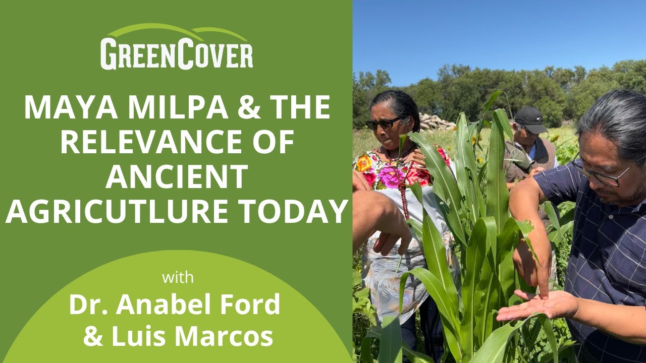 Maya Milpa and the Relevance of Ancient Agriculture Today w/ Dr. Anabel ...