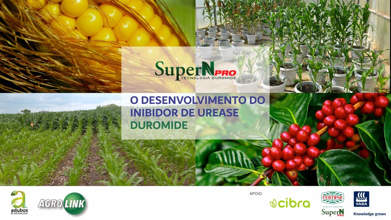 # 191 - SUPER N PRO - O DESENVOLVIMENTO DO INIBIDOR DE UREASE DUROMIDE ...