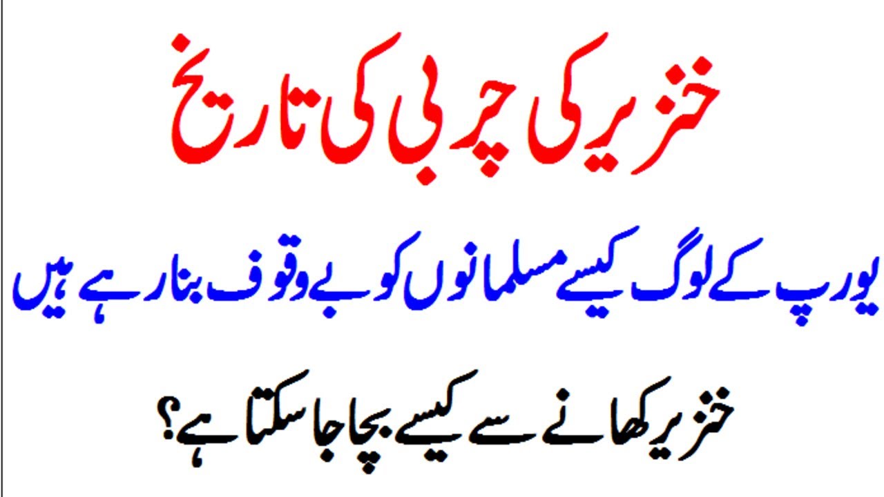 Meat Of Pig Khinzeer Ki Charbi Ki Haqeeqat Pig Facts In Urdu Use Of meat-of-pig-khinzeer-ki-charbi-ki-haqeeqat-pig-facts-in-urdu-use-of