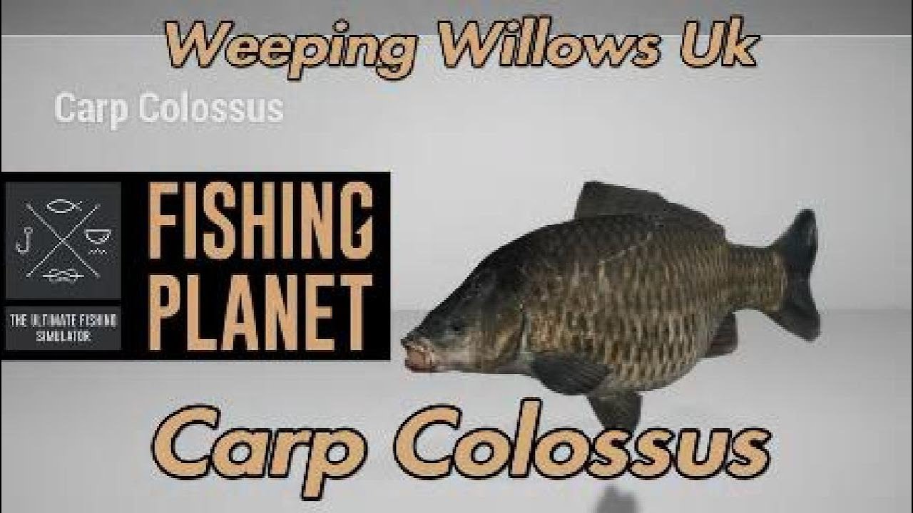 Carp Colossus Monster Mission - Weeping Willows UK - Fishing Planet ...