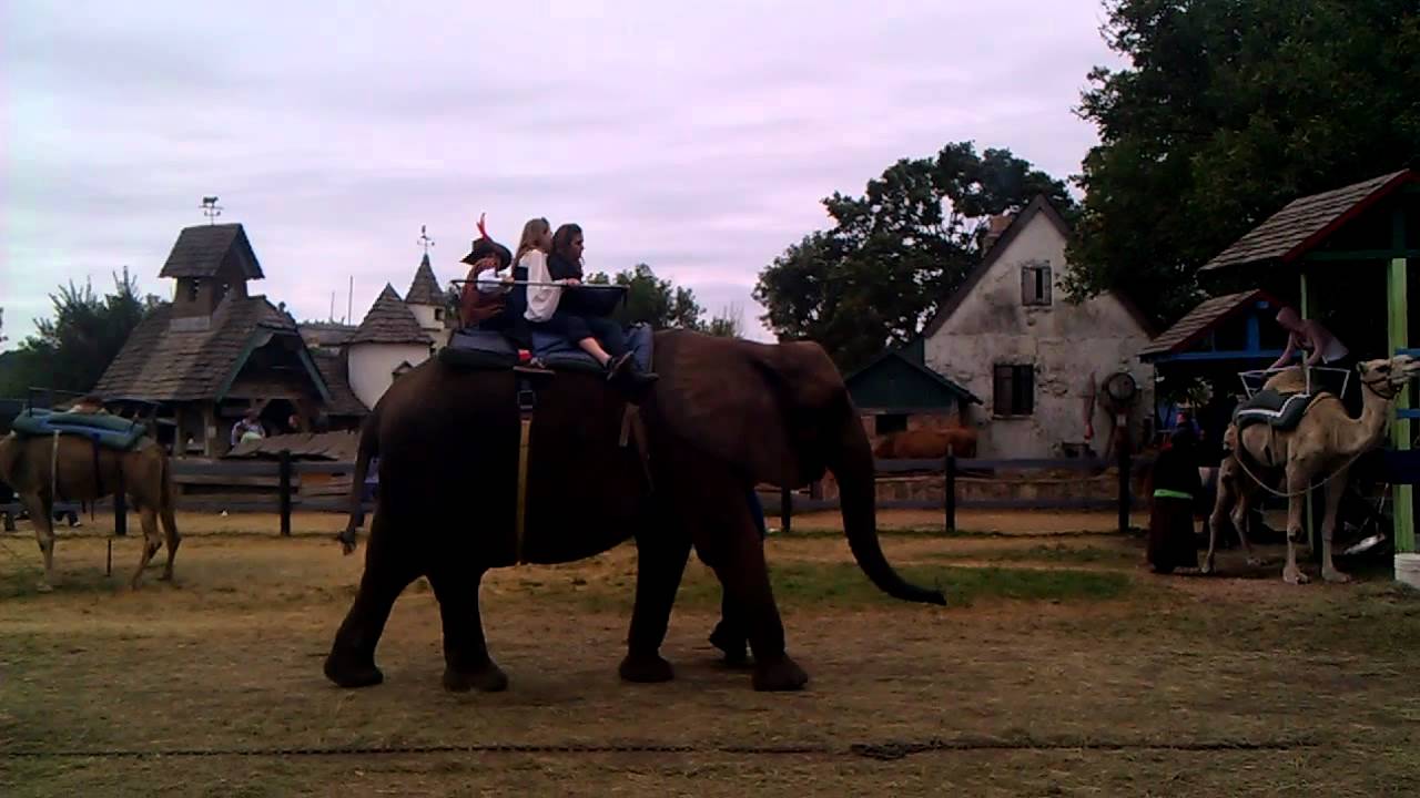 Elephant rides at the Renaissance Festival - YouTube