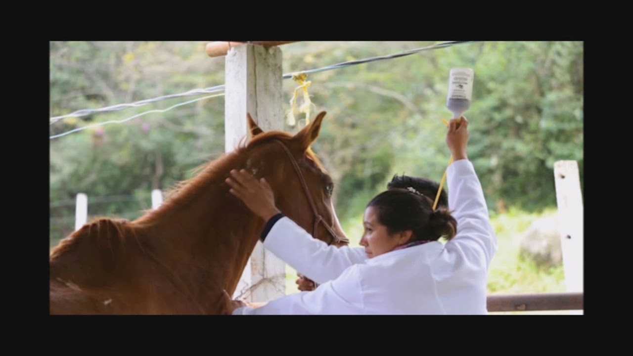 Video Institucional UICh - YouTube