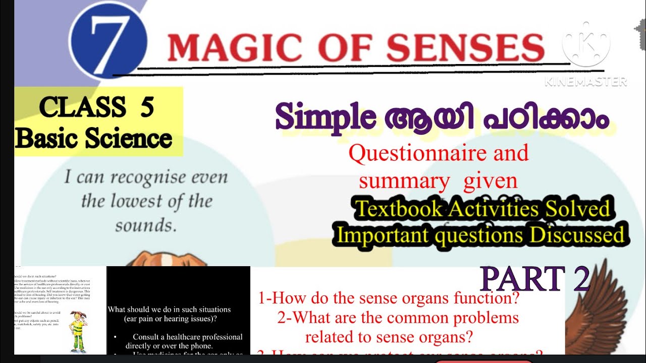 Class 5 Basic Science Chapter 7 Magic of Senses - YouTube