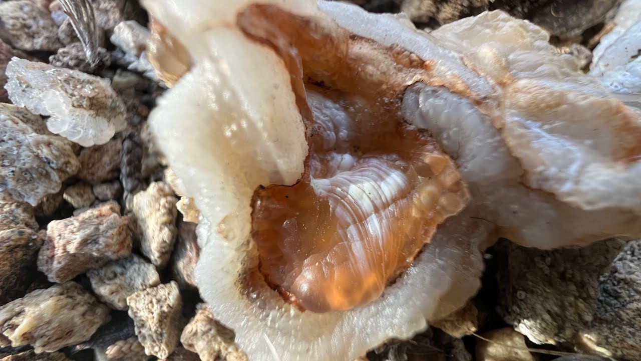 Rockhounding crazy botryoidal rock shapes - YouTube