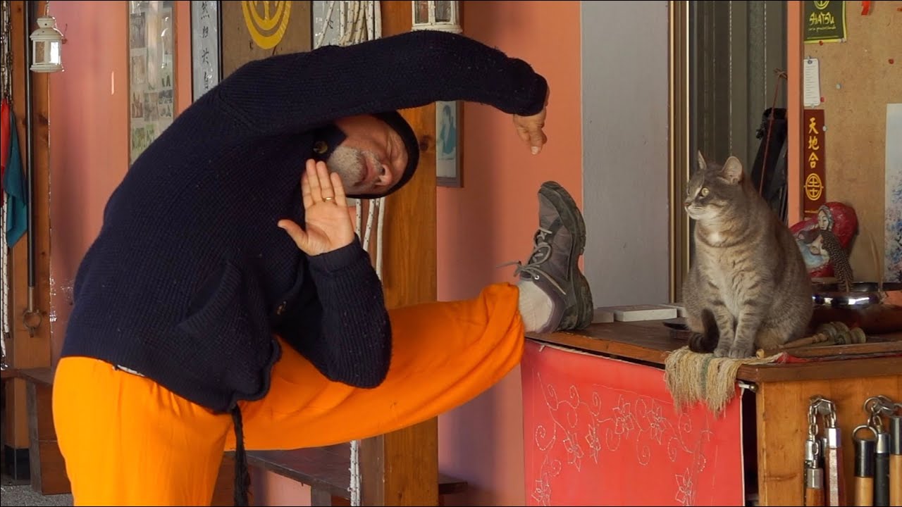 Six Tree Exercises and Pet Therapy - YouTube