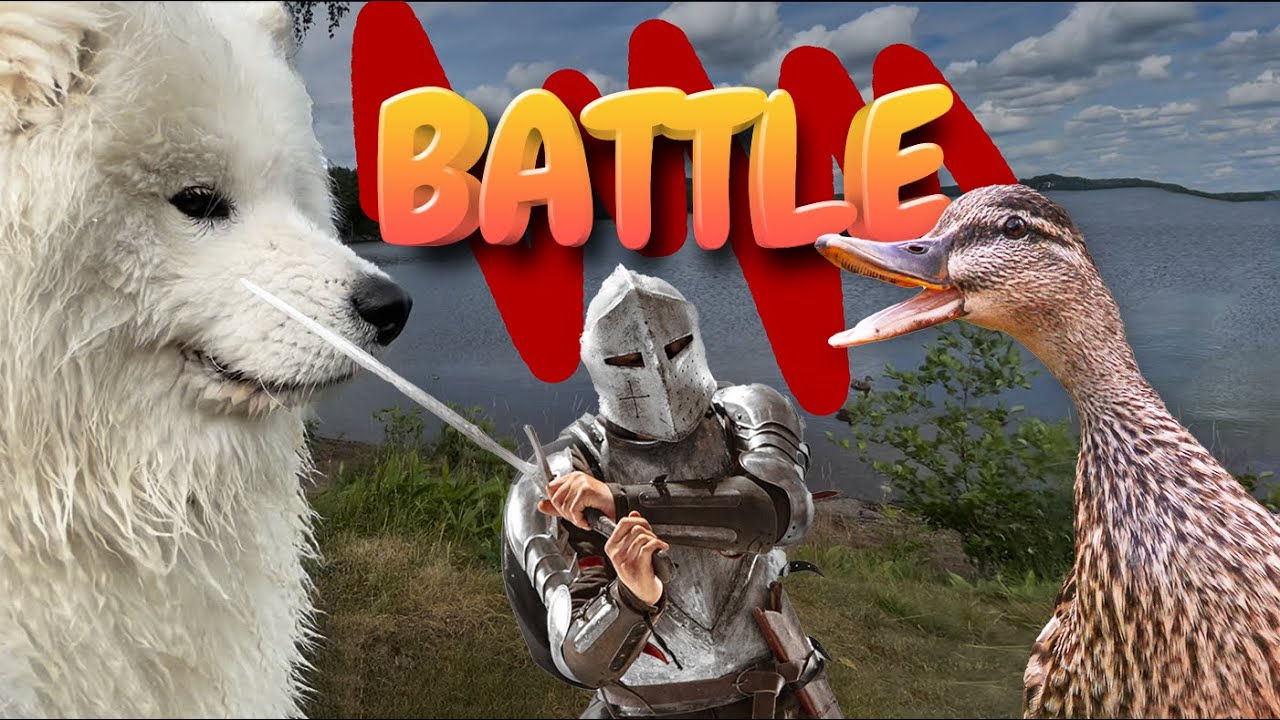 Samoyed Dog Fight with Mottled Ducks?! ⚔️🛡️ - YouTube