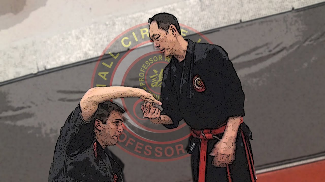 Small Circle Jujitsu - Professor Leon Jay's Flow - YouTube