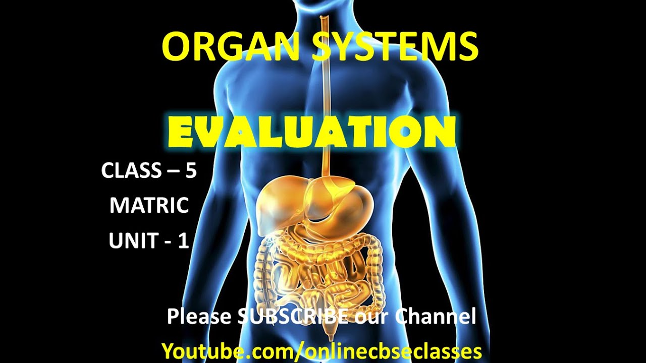 ORGAN SYSTEMS EVALUATION 5th STD MATRIC SCIENCE UNIT 1 organ-systems-evaluation-5th-std-matric-science-unit-1