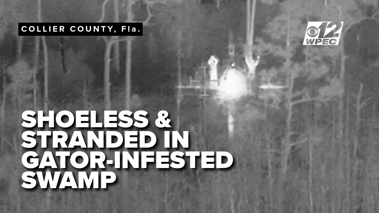 Father, son found shoeless and stranded in Florida gator-infested swamp ...