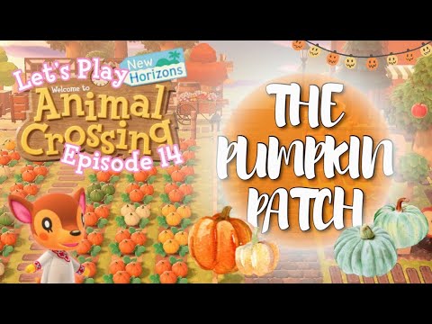 Animal Crossing: New Horizons // Let's Play ACNH: Episode 14 (Pumpkin ...