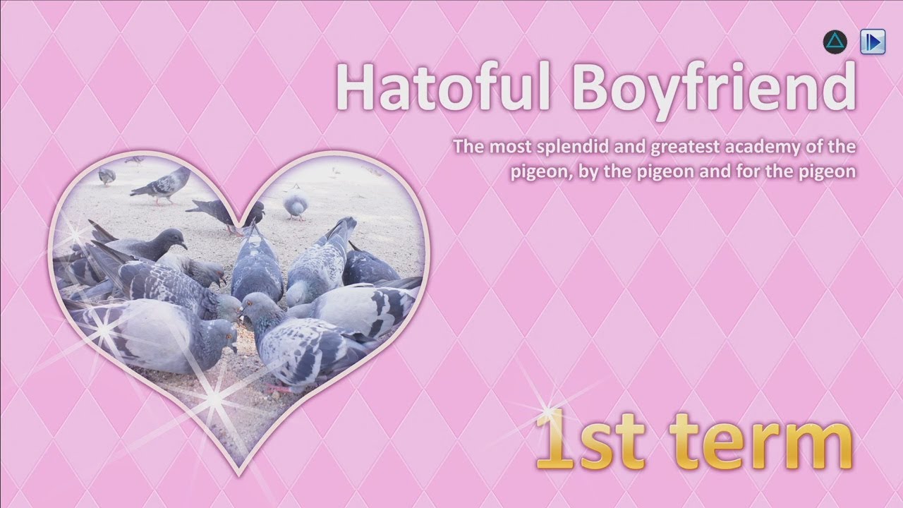 Amber Alert While Flirting With Birds In College | Bird Dating Sim ...