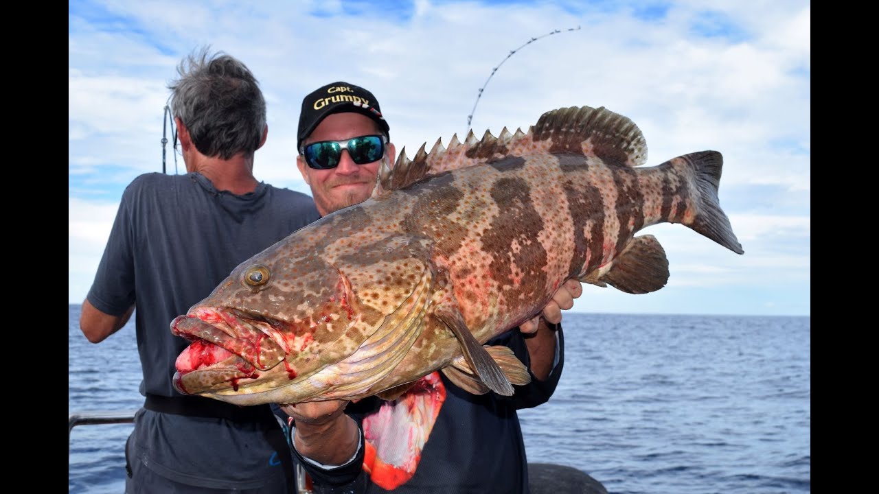 Rainbow Escape Grouper/Cod! - YouTube
