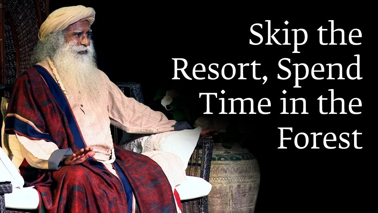 Skip the Resort, Spend Time in the Forest - Sadhguru - YouTube
