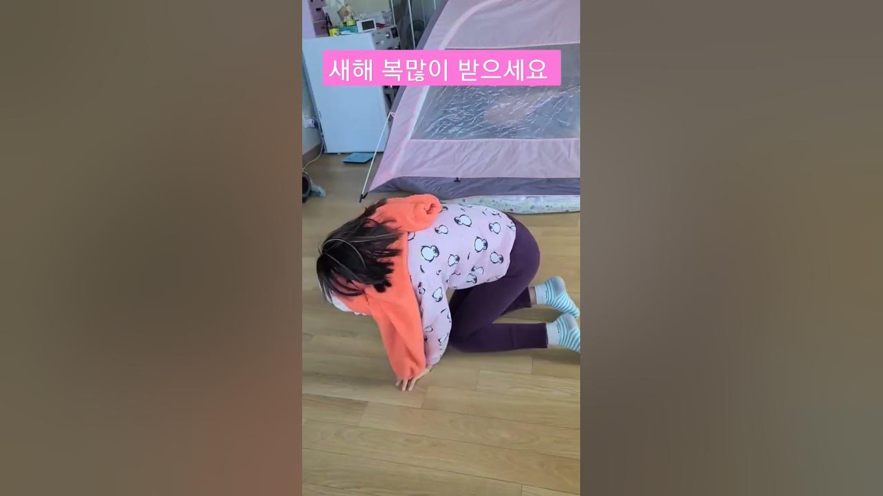 새해 복 많이 받으세요 큰절 대두 Youtube
