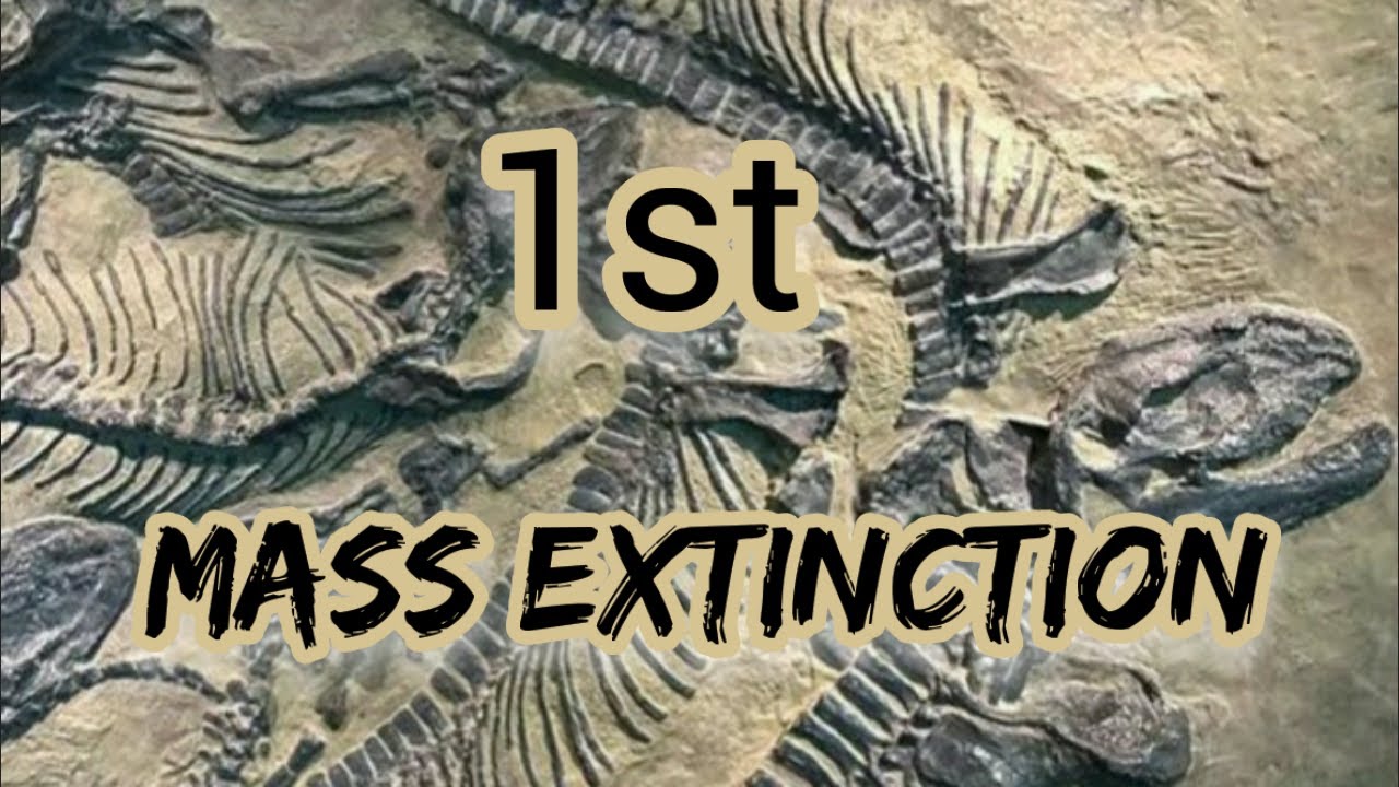 1st Catastrophe The Late Ordovician Mass Extinction YouTube 1st-catastrophe-the-late-ordovician-mass-extinction-youtube