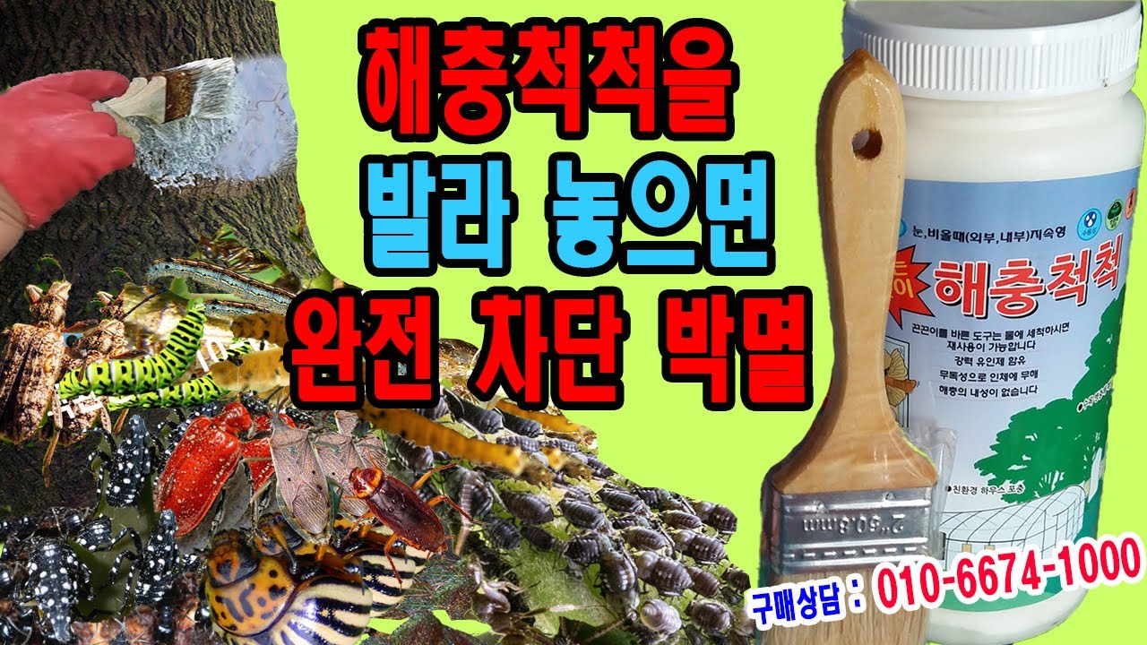 과수나무에 기어오르는 해충방제 바퀴벌레 쇠파리 등애파리 말파리 흡혈파리 방제 붓으로 바르는 친환경 수용성 끈끈이 해충척척