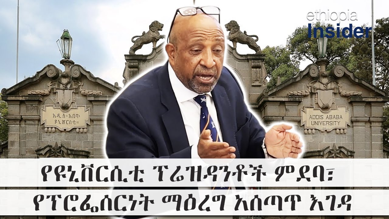 “የዩኒቨርሲቲ ፕሬዝዳንቶች መቀመጥ ያለባቸው በብቃት ነው፤ በአካባቢ አይደለም” -ፕሮፌሰር ብርሃኑ ነጋ ...
