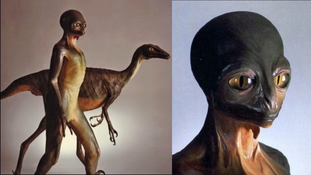 Dinossauroide | A Evolução do Dinossauro - YouTube