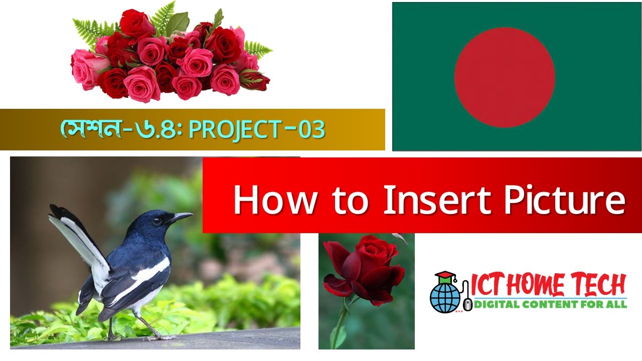 How To Insert Picture In PowerPoint Slides I YouTube how-to-insert-picture-in-powerpoint-slides-i-youtube
