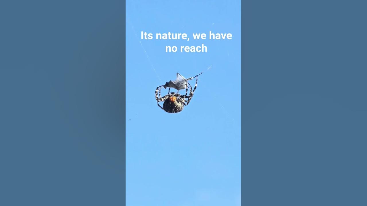 Nature, how we see.. - YouTube