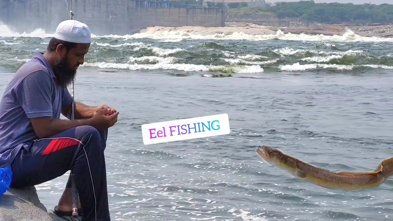 MASTERING THE Art of Small Hook fishing Techniques "Eels fishing Through the Seasons IN RIVER ...