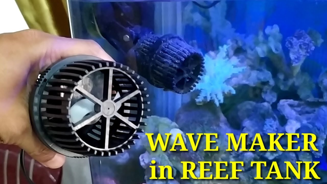 PENTINGNYA WAVE MAKER PADA REEF TANK - YouTube