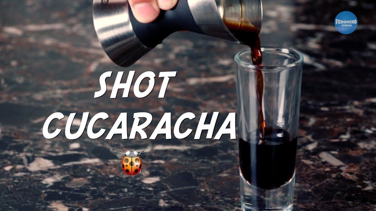 COMO PREPARAR UNA CUCARACHA - Juevebes - YouTube