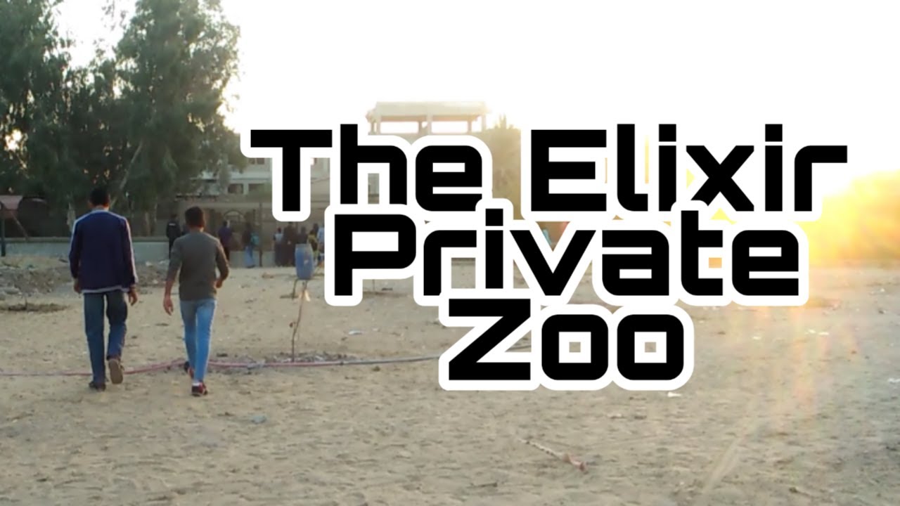 The Elixir Private Zoo Vlog - YouTube