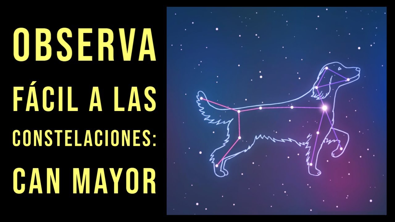 Observa fácil a las constelaciones (4): Can Mayor 🐕⭐🌟🔭 - YouTube