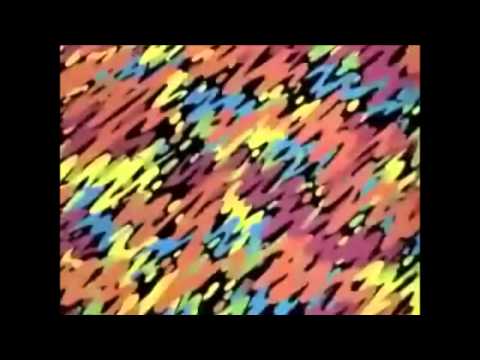 Pink Elephant Floyd- One of These Days-Dumbo