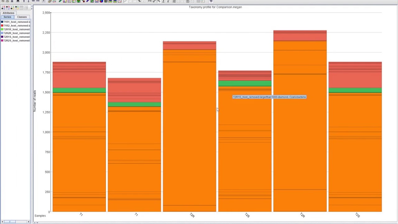 Megan 6 Community Edition Basic Tutorial - YouTube