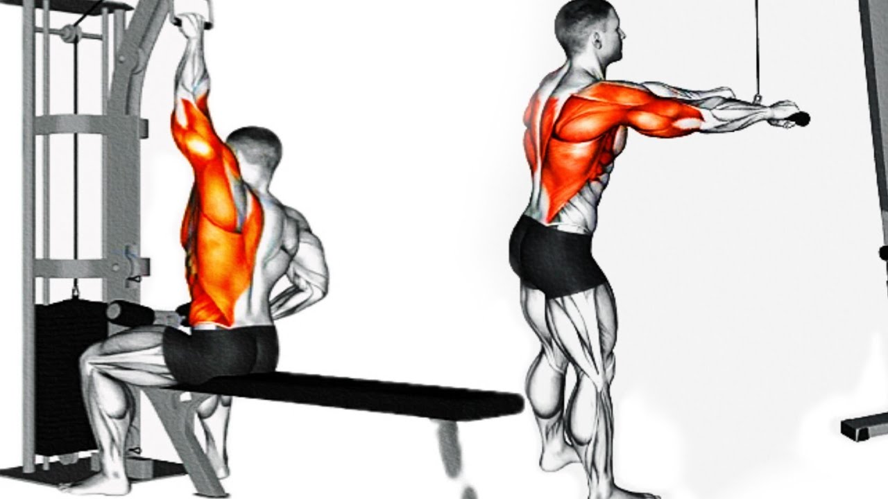 BEST HUGE BACK EXERCISES | Effective and Fastest - YouTube