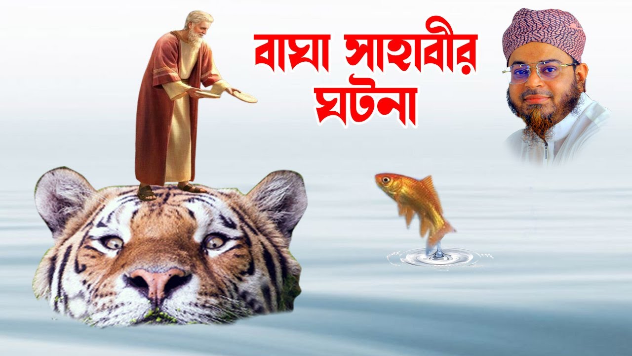 নাসির উদ্দিন আনসারী । মুফতি নাসির উদ্দিন ansari। bd waz - বাঘা সাহাবীর ...