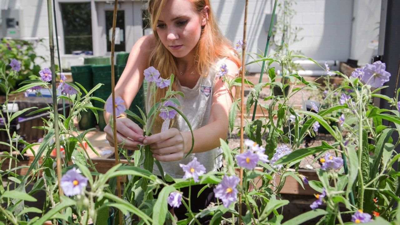 Undergraduate Research: How Today's Students are Doing Real Science ...