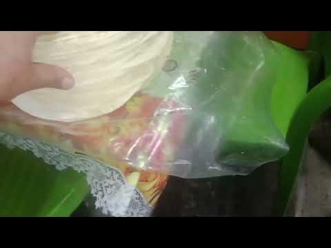 Yonzon deli vlog - YouTube