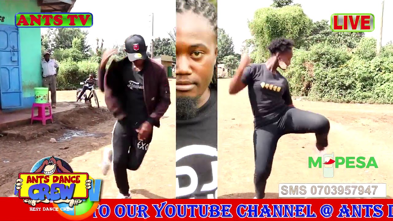 GUARDIAN ANGEL TAUNET NELELDance coverby Ants Dance Crew ft Dj Eustyce(Official video) - YouTube