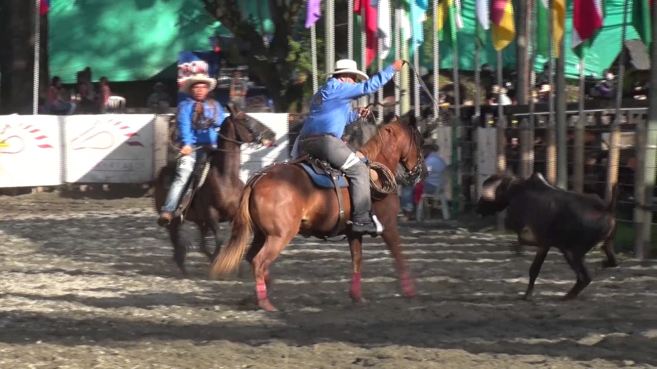 7 FINAL NACIONAL DE VAQUERIA 2016 - YouTube