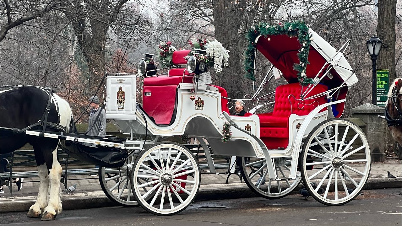 New Yorkers love their Horse Limos. - YouTube