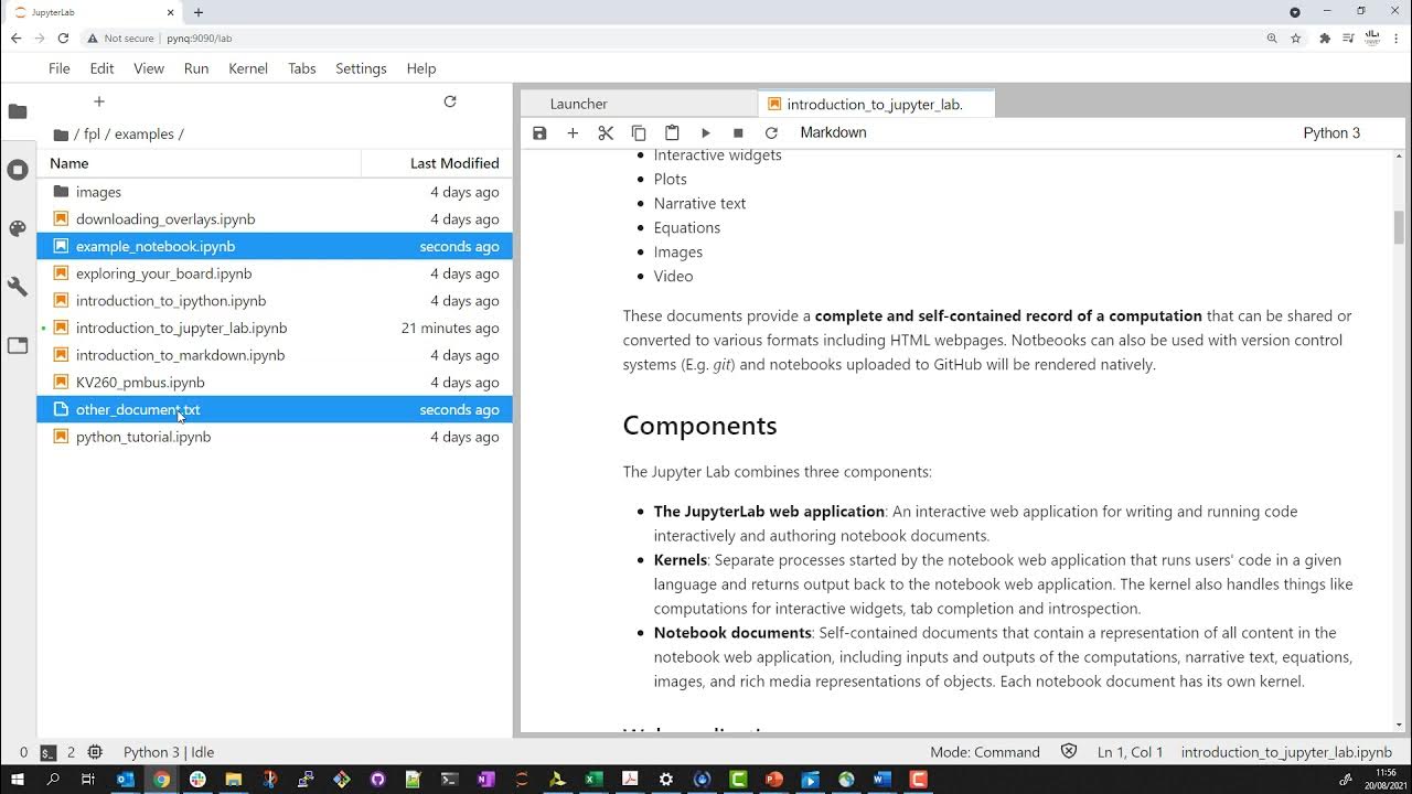 Introduction to Jupyter Lab running on PYNQ - YouTube