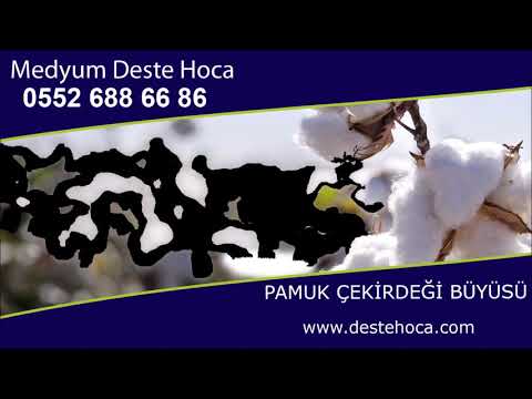 PAMUK ÇEKİRDEĞİ BÜYÜSÜ MEDYUM DESTE HOCA