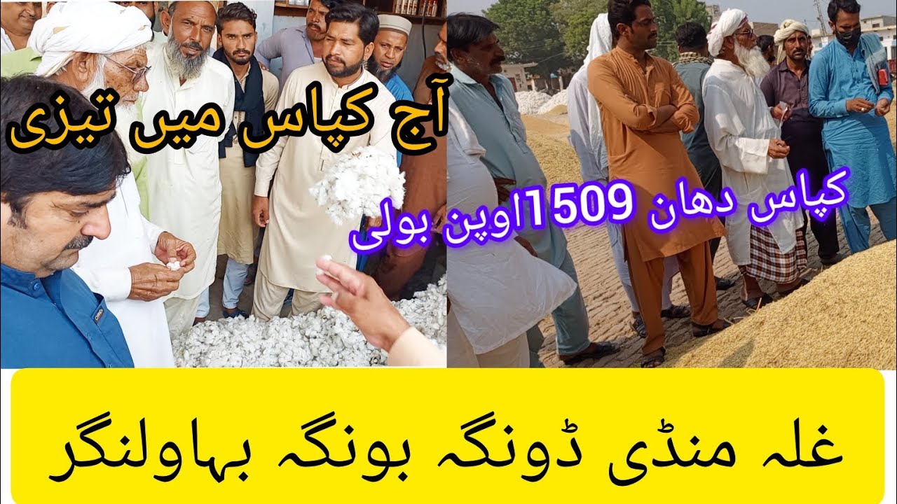 ghla mandi dunga bunga bhawel Nagar rates - YouTube