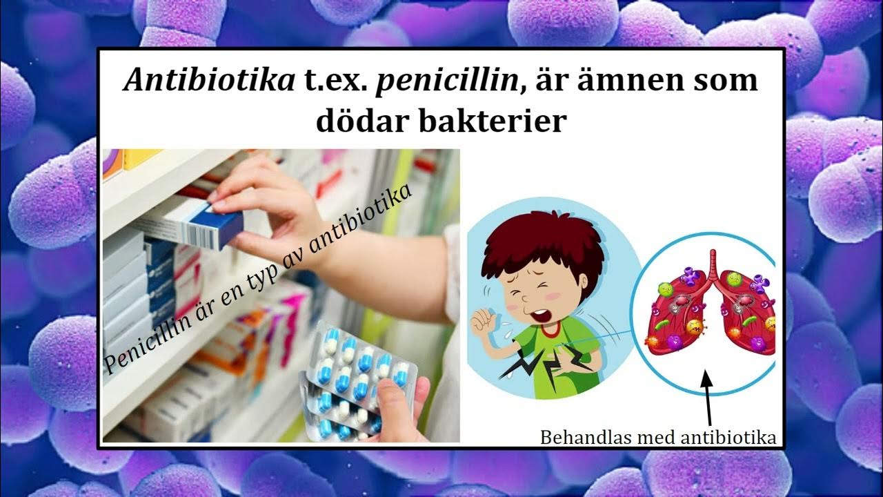 Lektion 3: Infektionssjukdomar - behandlingsformer, vaccination och antibiotikaresistens - YouTube