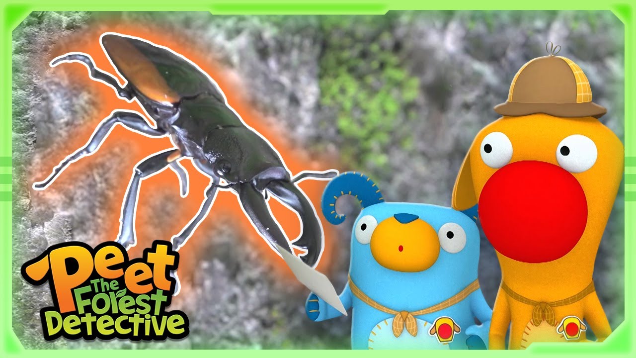 Super Strong Beetles in the Jungle? 💪🌳 | Animal Stories For Kids | Peet ...